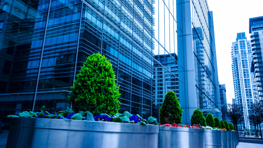 Move Capital - Paul Polman